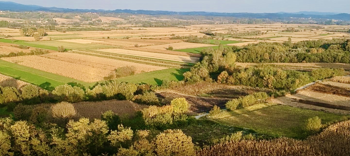 Projekat Jadar: Od tada do sada. - Mars Sa Drine